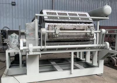 China 80kw volledig Automatisch Ei Tray Machine Paper Plate Making 3000p/H Te koop