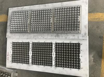 Cina Alluminio di Tray Pulp Mold High Precision dell'uovo del creatore 30 della muffa in vendita