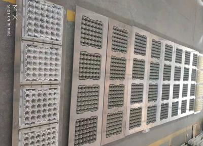 Cina Muffa di plastica o di alluminio del cartone dell'uovo per l'uovo Tray Making Machine in vendita