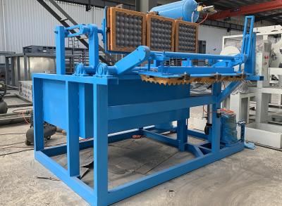 Cina Uovo automatico Tray Machine Paper Making dei semi più asciutti di 1000 Pcs/Hr in vendita