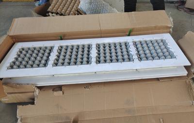 Cina Uovo Tray Production Line Support Customized della muffa della polpa di 4000 Pieces/H in vendita