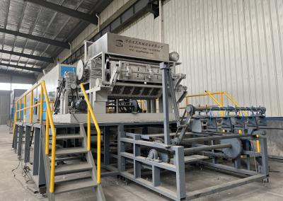 China Wiederverwertung des Altpapier-automatischen Eies Tray Making Machine 8000pcs zu verkaufen