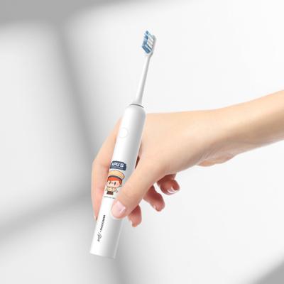 中国 子供用電気歯ブラシ 防水 IPX7 4つのモードで42,000 VPM 販売のため