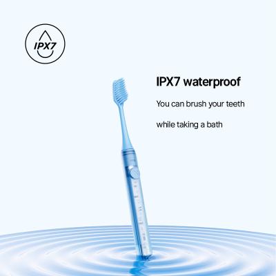 Cina High Quality Electric Sonic Toothbrush Rechargeable Toothbrush Smart Electric Toothbrush in vendita
