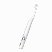 China Replaceable Smart Electric Toothbrush IPX7 Rechargeable Power Toothbrush for sale