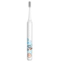 China Replaceable Smart Electric Toothbrush IPX7 Rechargeable Power Toothbrush for sale
