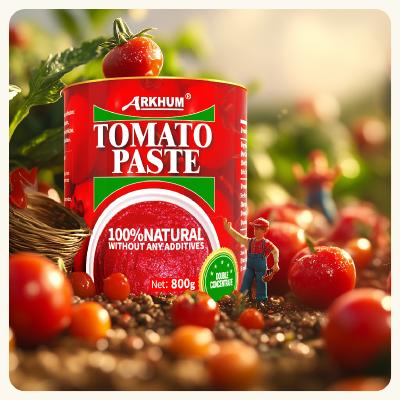 China Energie 7% Biologische tomatenpasta in zak 2975 mg natrium per 100 g Te koop
