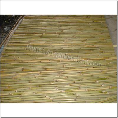 China Garden bamboo fencing -wire lines woven inside for sale