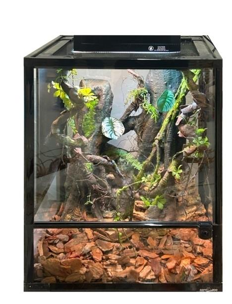 Custom reptile habitat example with realistic rock background