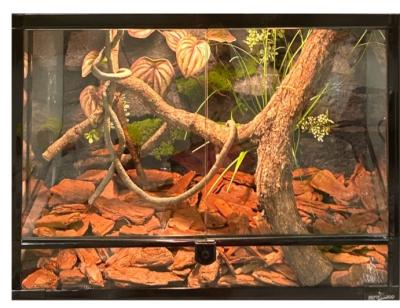 Cina Pietra decorativa leggera per animali domestici in vendita