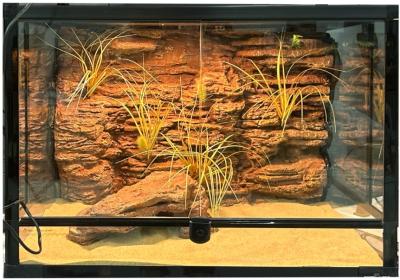 Китай Конструкции на заказ Стены рептилий с 3D-текстурой SL-M42 продается