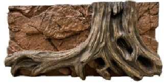 Cina Homelike Natura Rettile Acquario Sfondo Resistente alla sporcizia personalizzabile in vendita