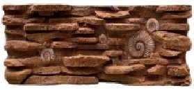 중국 시뮬레이트 된 화석 경관 토양 배경 스냅 및 도마뱀 판매용