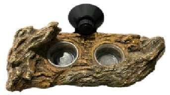 Tortoise water dish in use within a reptile enclosure