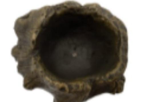 3D simulation reptile water bowl in natural setting