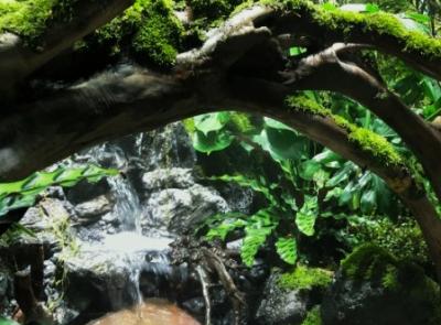 China Reptile Water Bowl Long-term Use Fade Proof Multi-purpose Healthy for sale