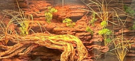 SL-M29A Reptile Enclosure Background showing realistic textures and modular design