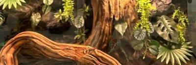 Cina Modello per sfondo terrario per rettili SL-M29A Design modulare Materiale ecologico in vendita