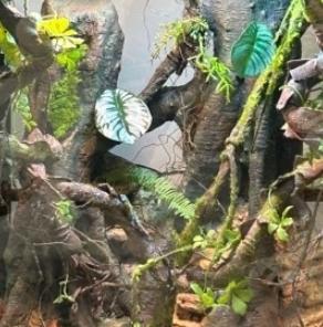 SL-M19B Simulated Rock Mix Board installed in reptile terrarium