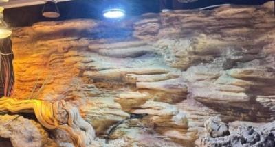 중국 물 저항성 파충류 탱크 배경 환경 친화적 및 간편 유지 보수 판매용