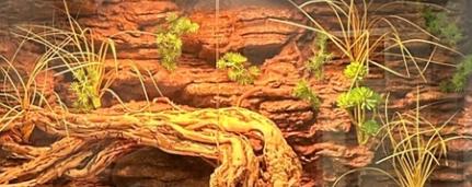 Simulated rock and stump mash-up board in reptile enclosure