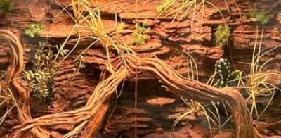 중국 DIY 복합 바위 배경은 파충류에 대한 부패 방지 SL-M44A 판매용