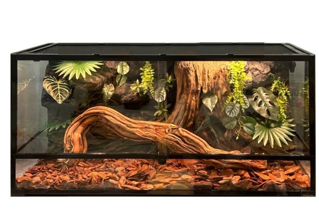 Realistic reptile enclosure background showing detailed rock and stump textures