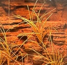 중국 SL-M49A PU 방수 파충류 암석 배경 간편한 청소 및 유지 보수 판매용