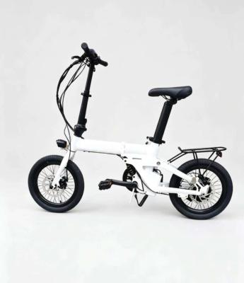 China Beach Electric Bike, Fat Tire E-Bike, Off Road Electric Bicycle, Outdoor Adventure Bike, Long Range E-Bike for sale