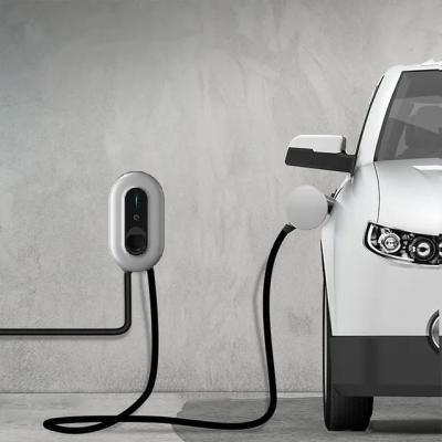 Cina Caricabatterie elettriche a corrente regolabile UE da 50 Hz a 60 Hz di tipo 2 per la ricarica rapida domestica in vendita