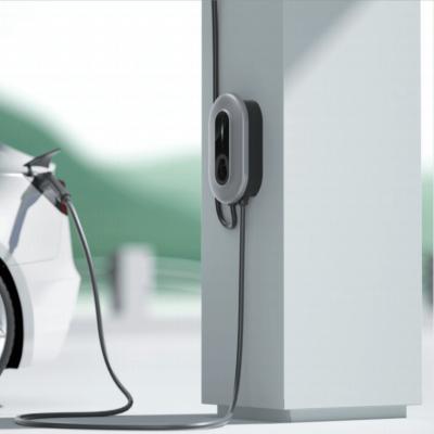 Cina App Control Single Gun 50A Portable Level 1 Type 2 EV Charger con certificato CE in vendita
