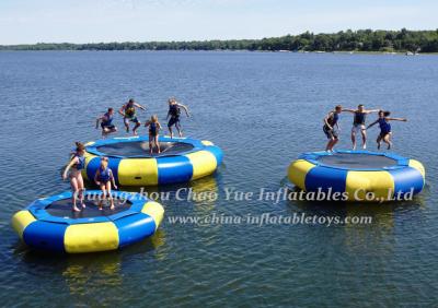 China Commercial Grade Inflatable Water Bouncer for Water Park for sale