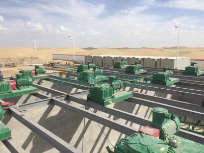 Cina Tipo accoppiato agitatore del fango di perforazione con ExdIIBt4/IECEX/A-TEX protetto contro le esplosioni in vendita