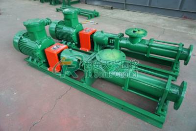 Cina 7.5KW Pompa a vite della serie G per la gestione dei rifiuti di perforazione in vendita