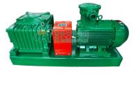 China 15KW.API Oil Drilling Mud Agitator In Solids Control System Good Performance for sale