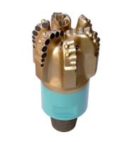 China High Wear Resistance Drill Spare Parts Oil Pdc Drill Bit 1/2