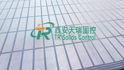 Cina Schermo dell'agitatore dello scisto dei fanghi di perforazione, strati compositi degli schermi 2 - 3 dell'agitatore dell'erpeste in vendita
