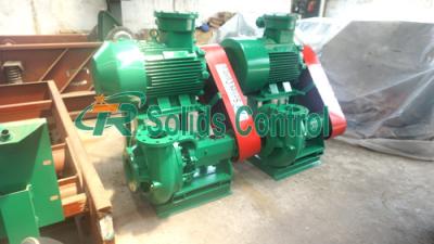 Cina 150m3/H il flusso 55kw tosa la pompa per la perforazione di gas dell'olio in vendita