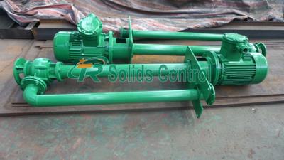 Cina Pompa per acque luride sommergibile della centrifuga 55KW del decantatore in vendita