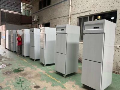 Cina Cucina frigorifero verticale con 14 vassoi all'interno attrezzature da forno commerciale Guangzhou attrezzature produttore in vendita