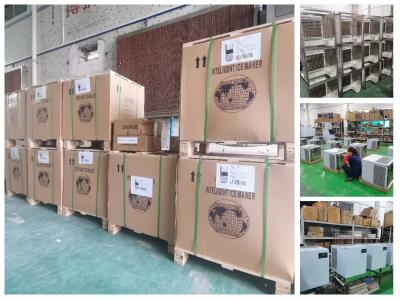 China Commercial Ice Cube Machine 910KG Daily Output 480KG Storage for sale