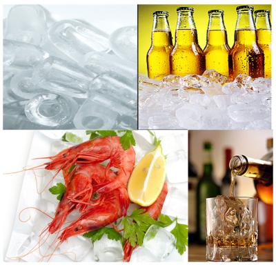 China 120kg Bullet Ice Machine Commercial 220V with Danfoss Compressor for sale