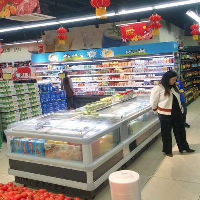 Cina attrezzatura di refrigerazione del supermercato 440L per alimento congelato in vendita