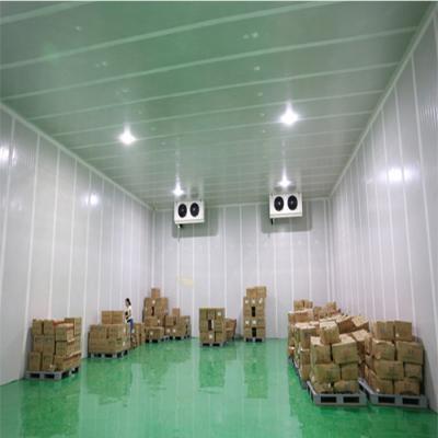 China Air Cooler Copeland SS 304 Commercial Walk In Freezer for sale