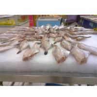 China Full Capacity Danfoss Flake Ice Maker For Seafood for sale