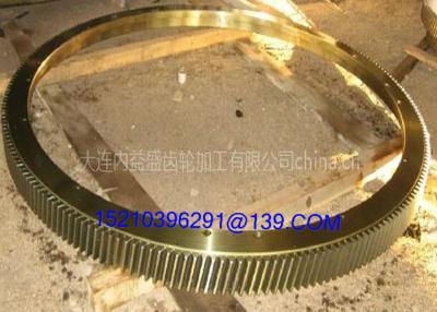 Cina Ruote di ingranaggio fisse lavoranti giranti del laminatoio degli ingranaggi di CNC dell'anello della piattaforma girevole in vendita