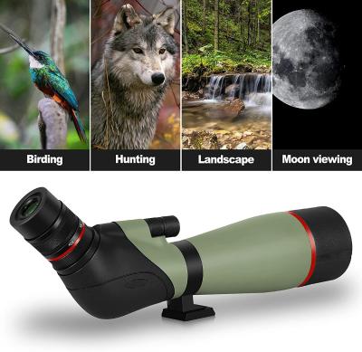 中国 野性生物に斑点を付けるBirdingのための規模20-60X80 HDに斑点を付けているBAK4プリズム狙撃兵 販売のため