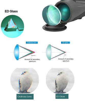 中国 22mmの接眼レンズの携帯電話のMonocular 12x56高い索引Bak4プリズム光学 販売のため