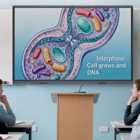 Quality 55 Inch Ai MT9679 4K LCD Interactive Whiteboard for sale