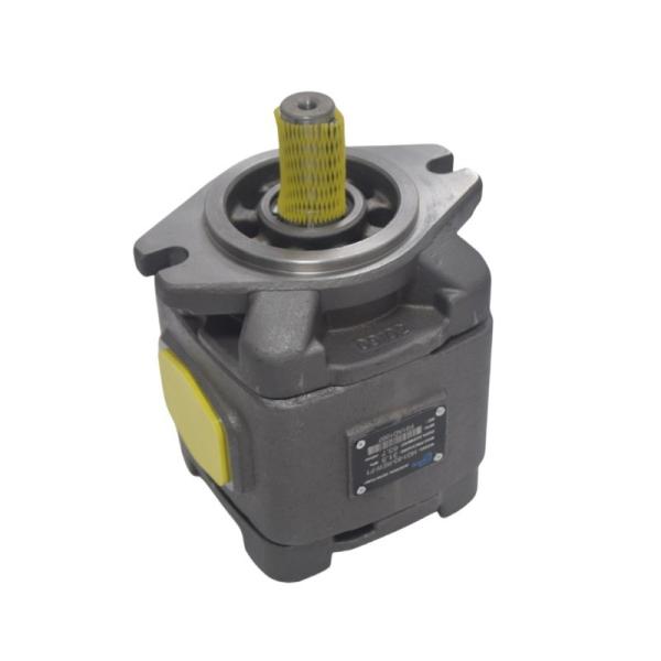 Quality HG1 Fixed Displacement Hydraulic Internal Gear Pump HG1-25 HG1-32 HG1-40 HG1-50 HG1-63 for sale